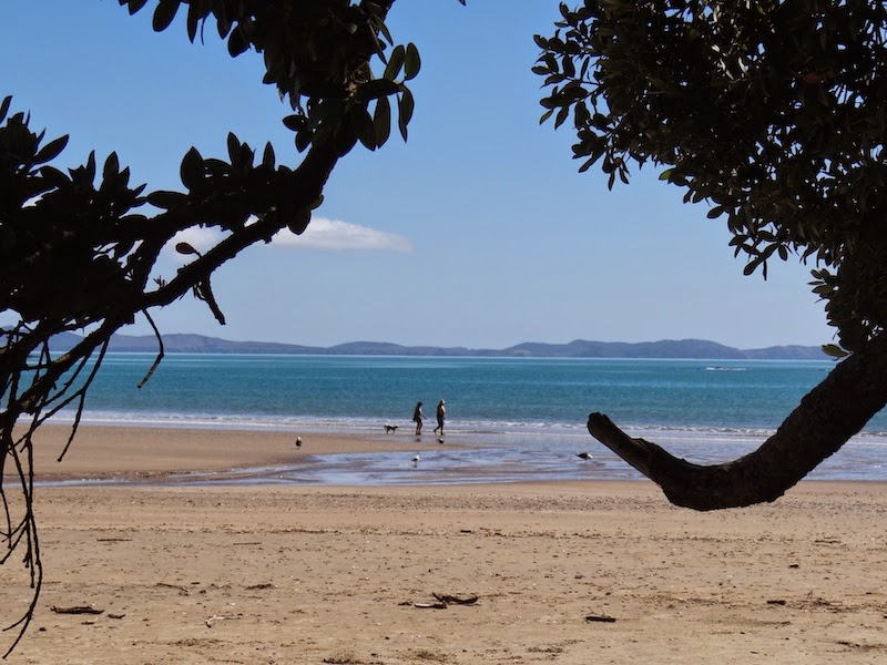 A Hebridean in New Zealand: Northland: The Beaches of Doubtless Bay