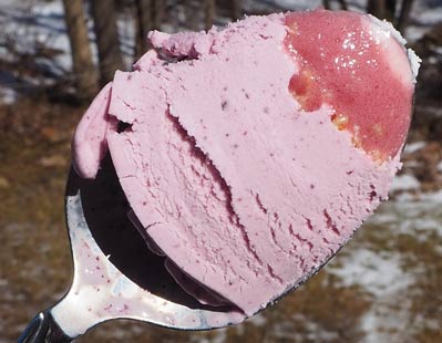 On Second Scoop: Ice Cream Reviews: Talenti Black Raspberry Vanilla ...