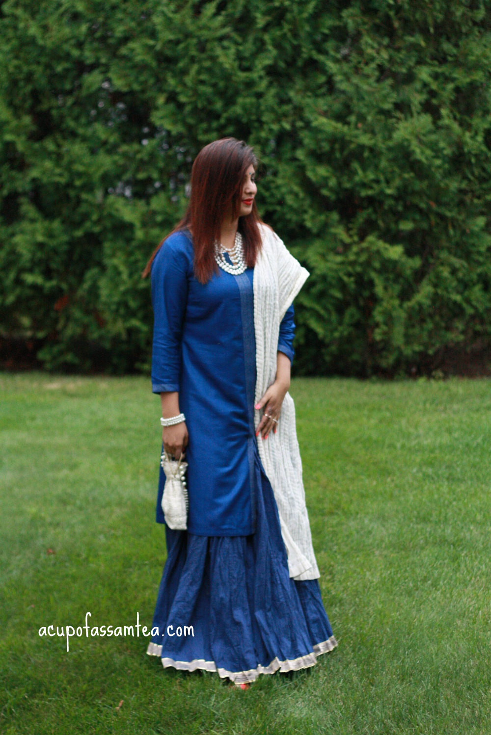 Indian festive look #1