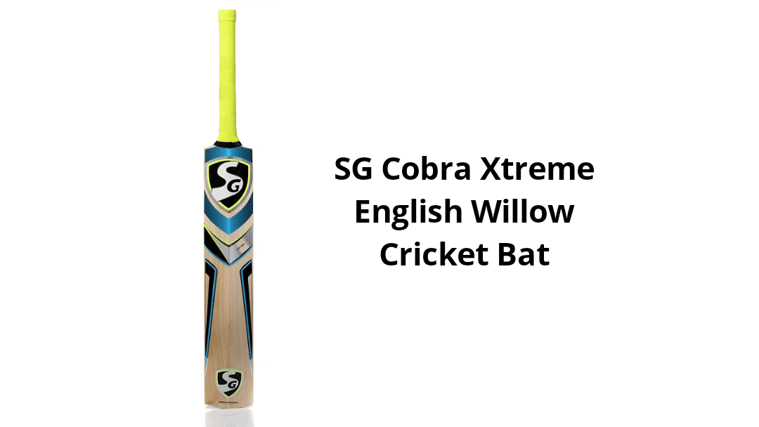 Top 10 Best English Willow Cricket Bat Under 5000 in 2020