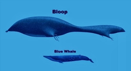 misterios y creepypastas: Misterio: El Bloop