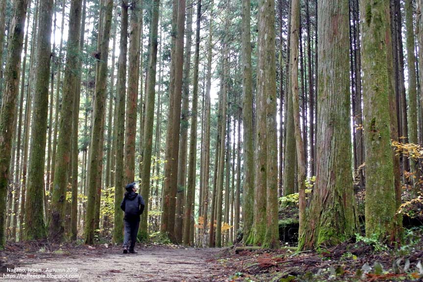 travel tales: 2019: Japan: Nagano: Kiso Valley