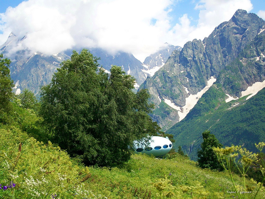 Травы,настои. знахари