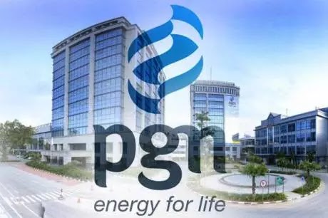 Profil PGN - Anak Perusahaan dan Bidang Usahanya