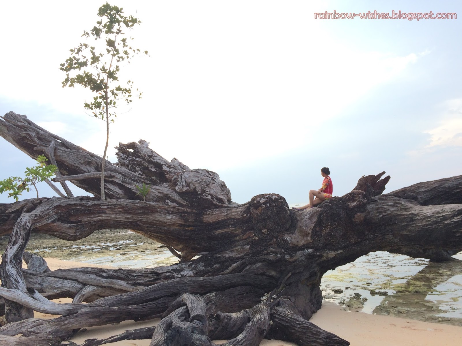 Sweet Escape: exploring Baganga, Davao Oriental - My Notebook