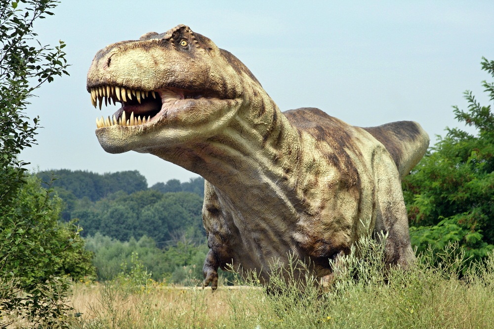 Tyrannosaurus Rex (T-REX) - TAMAN DINOSAURUS