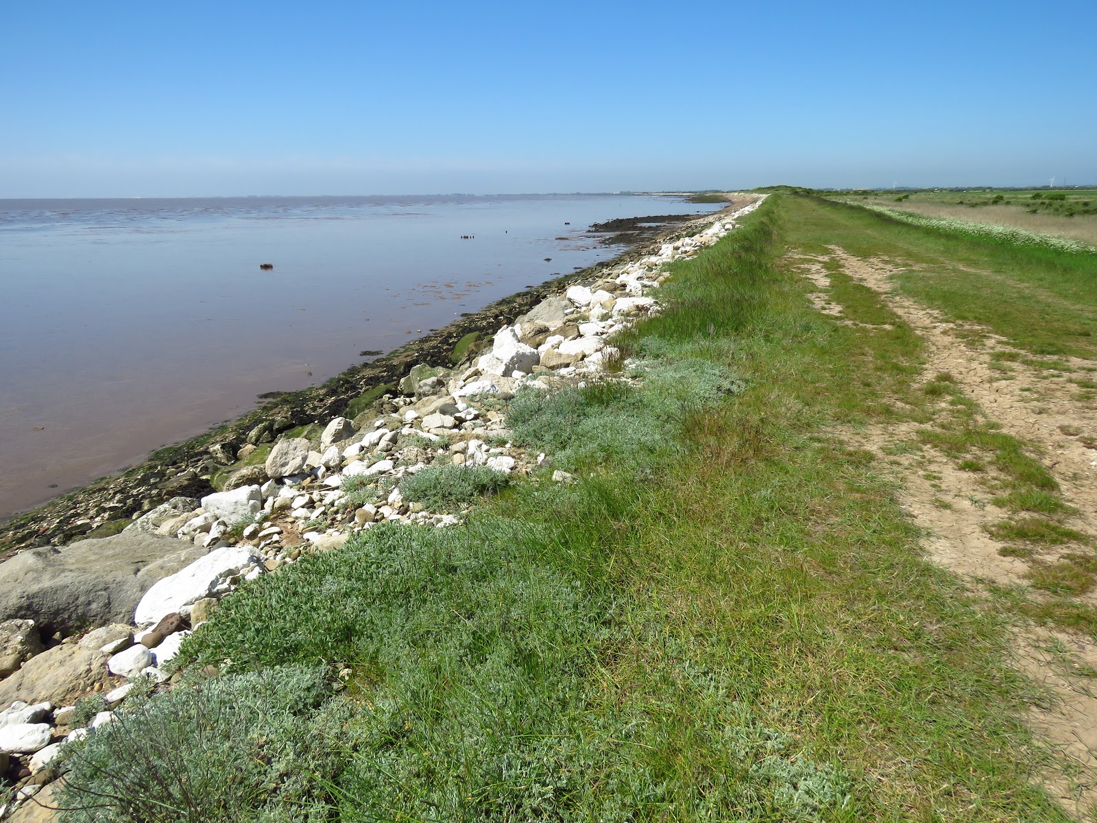 Wild at Hull: Walking the Humber. Stage 14. Skeffling Clough to Kilnsea