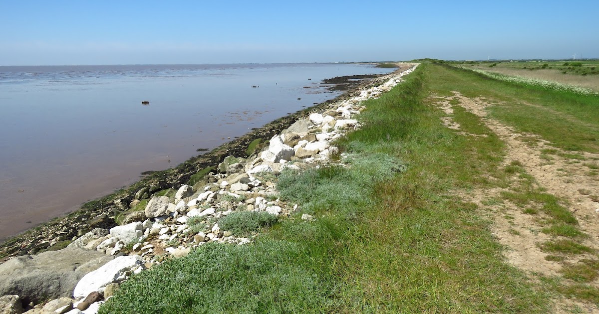 Wild at Hull: Walking the Humber. Stage 14. Skeffling Clough to Kilnsea