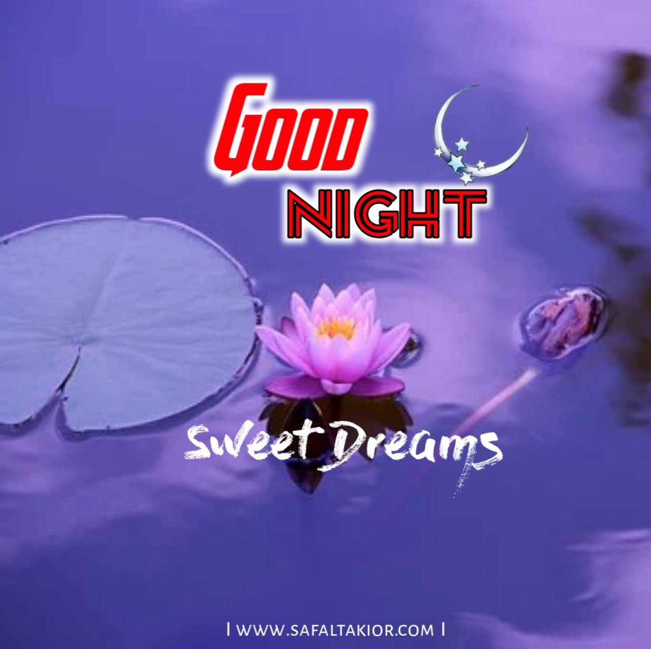 280 Beautiful Good Night Images,Wallpaper & Photo