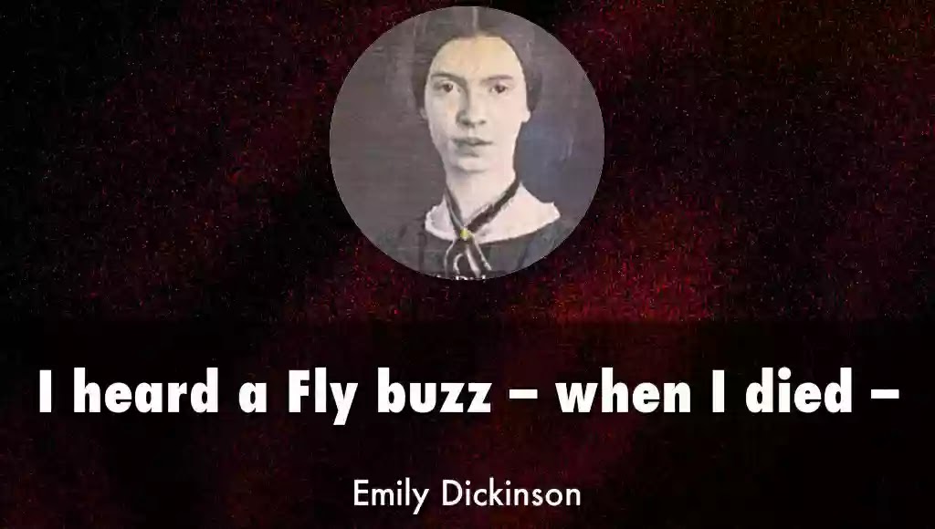 I Heard A Fly Buzz-When I Died - Summary and Analysis