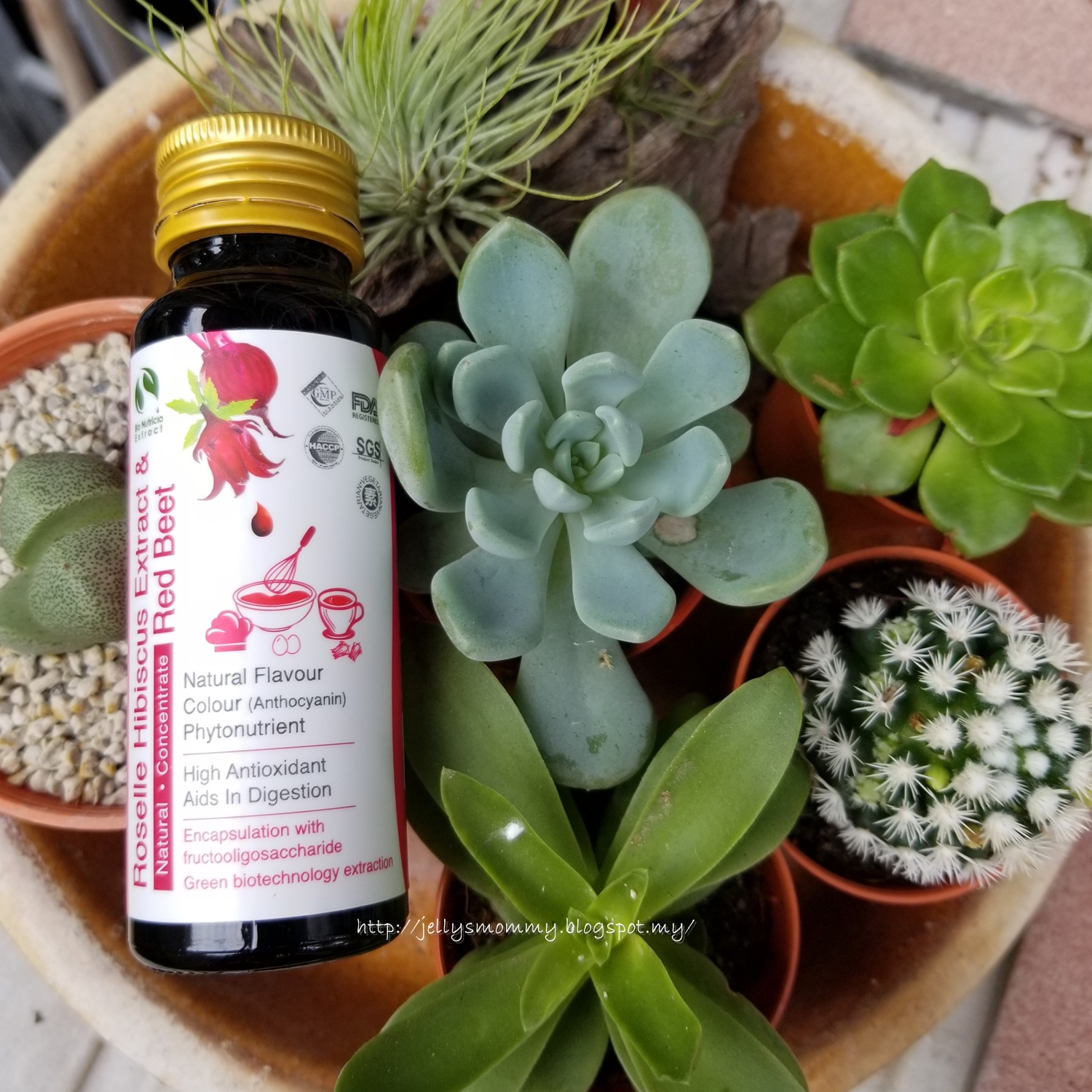 A little bit of Everything: Bio-Nutricia Extract Product Review ...