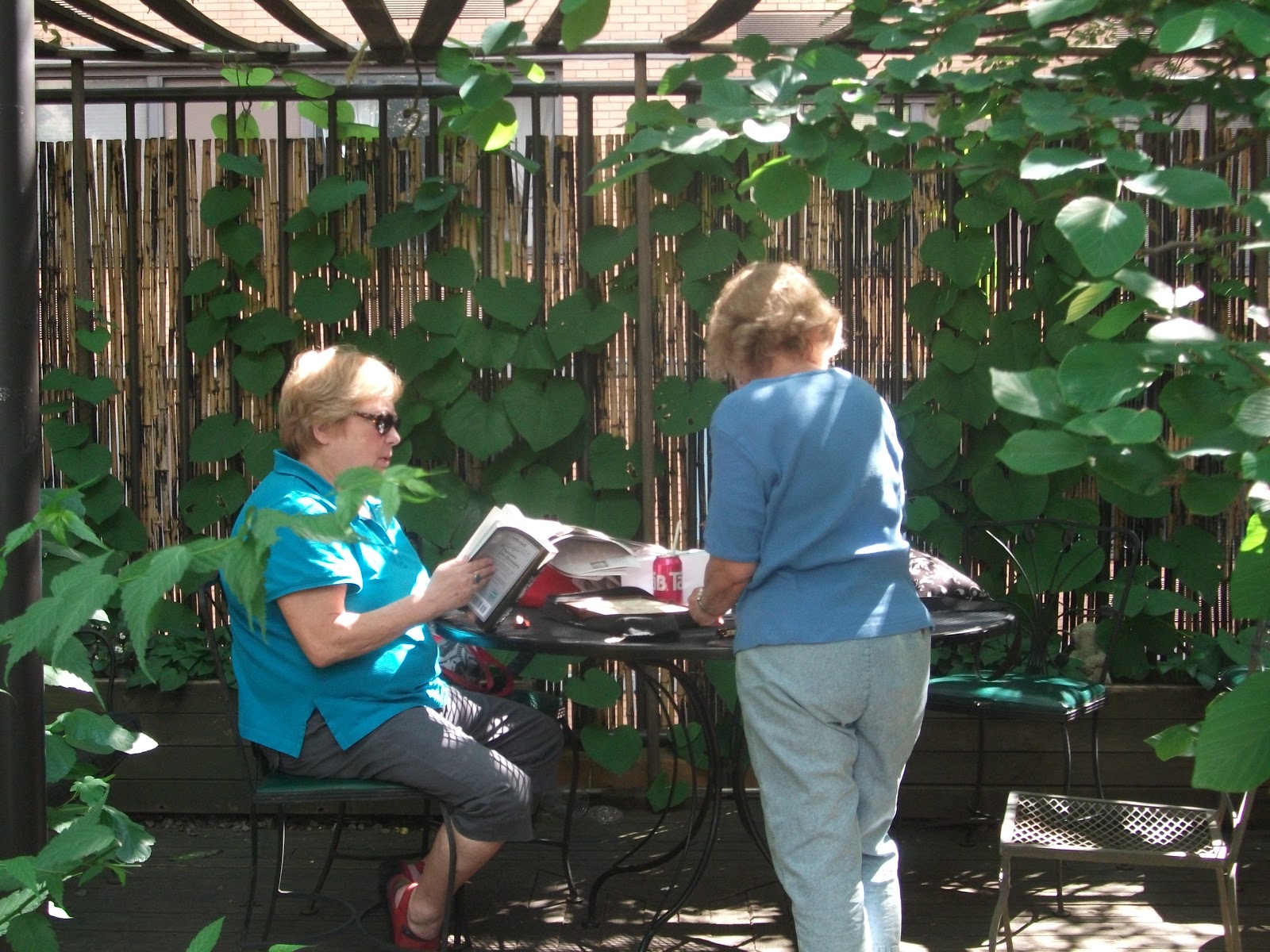 Homebound Fun: Senior Seating and Naturally Occuring Senior Centers