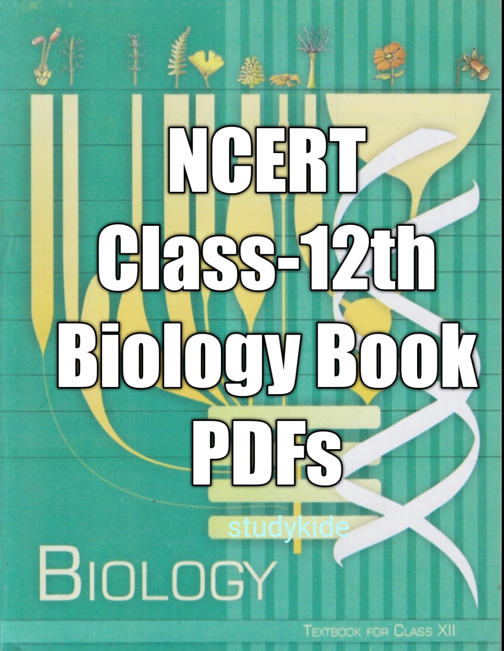 Studyknowledge-Free Download IIT-JEE and NEET modules