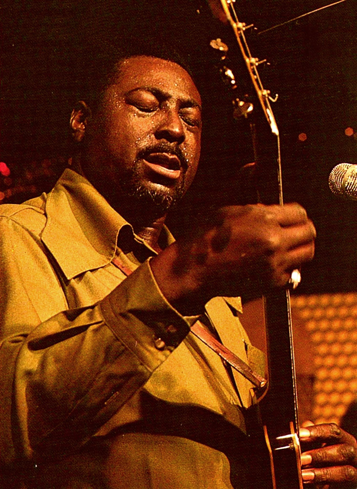 Forestdweller: Albert King