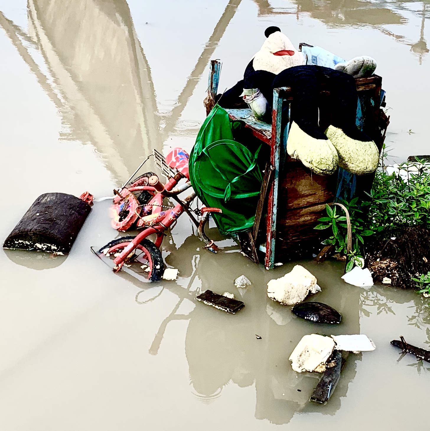 CNS: Inside out: Climate change induced migration