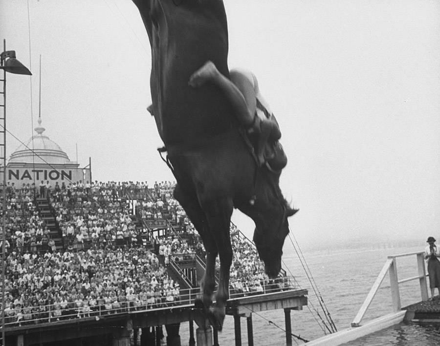 Horse Diving: 21 Vintage Photos Of The Cruel, Forgotten “Sport”