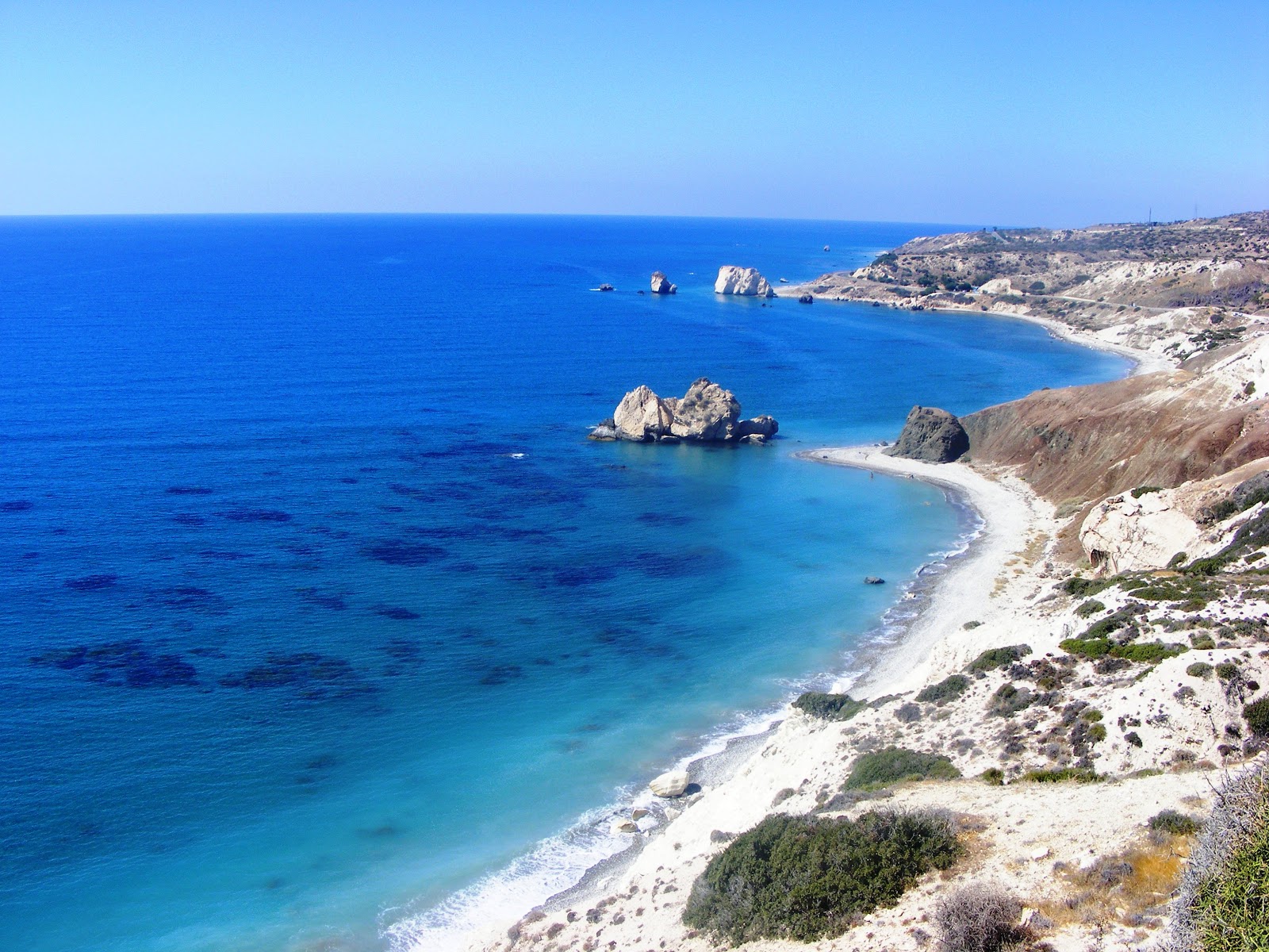 Sea Slug and the Turtle: 2010