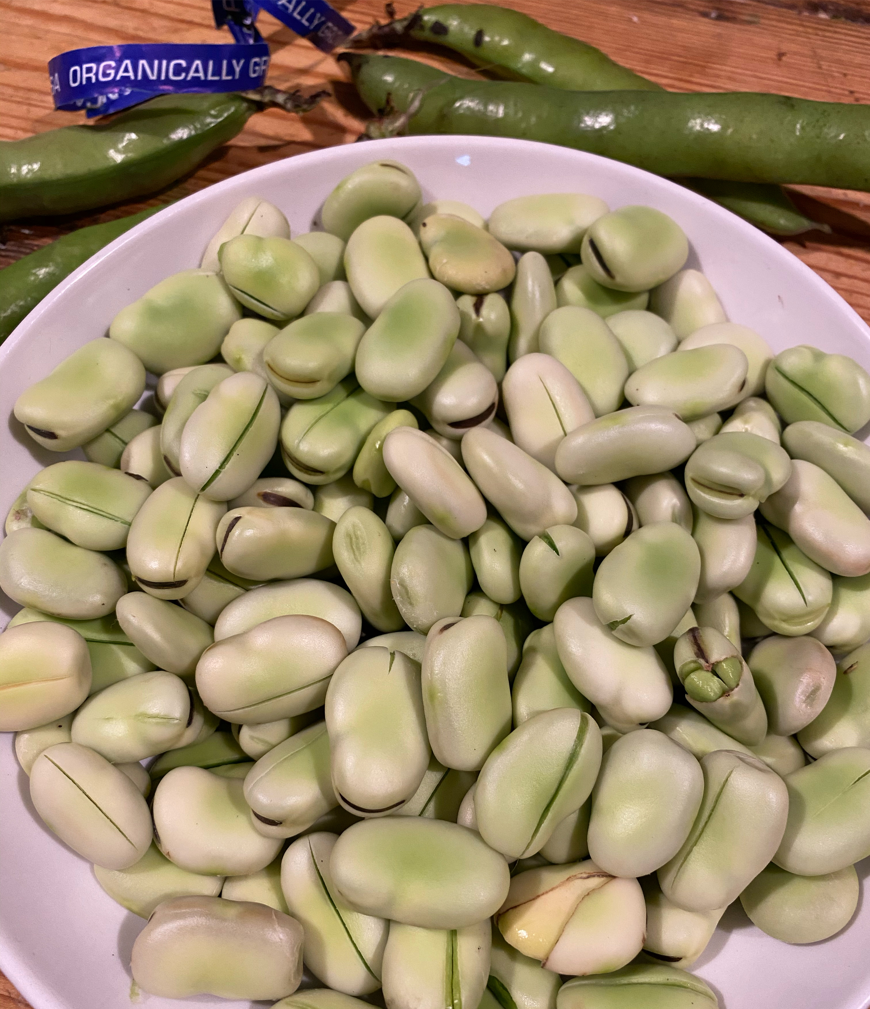 Here's the BEST Thing to Make with Fava Beans: Garlicky Whipped Fava ...