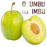 Ricos benefícios do fruto umbu ou imbu - Blog Doando Vida