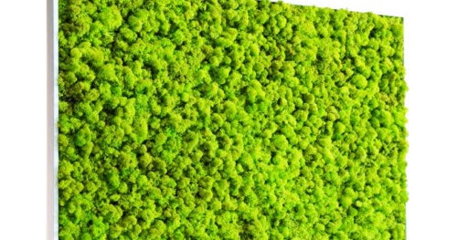 Marzua: Meamea, Diseño Vegetal