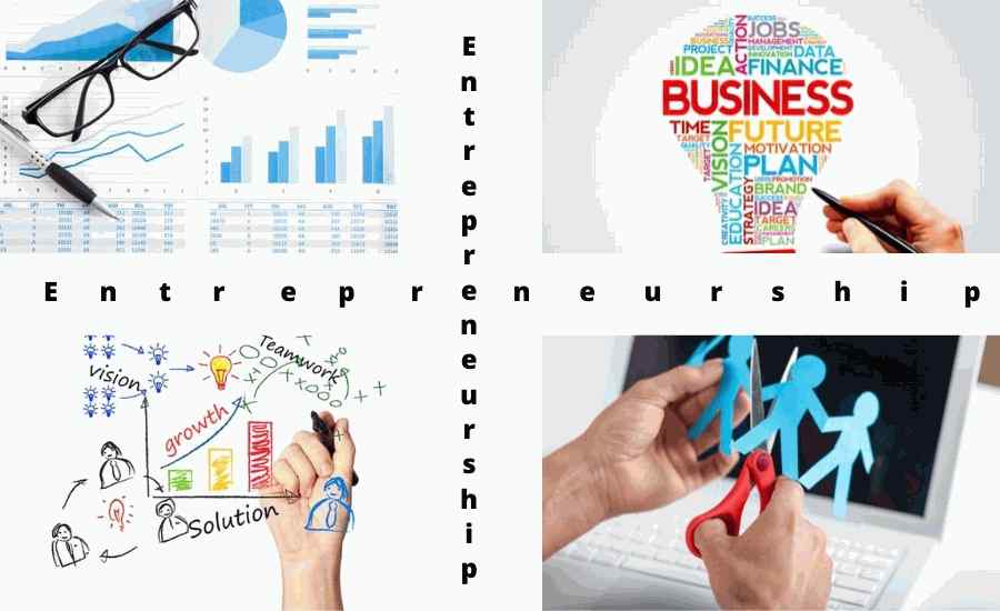 What is concept of Entrepreneurship, types and importance