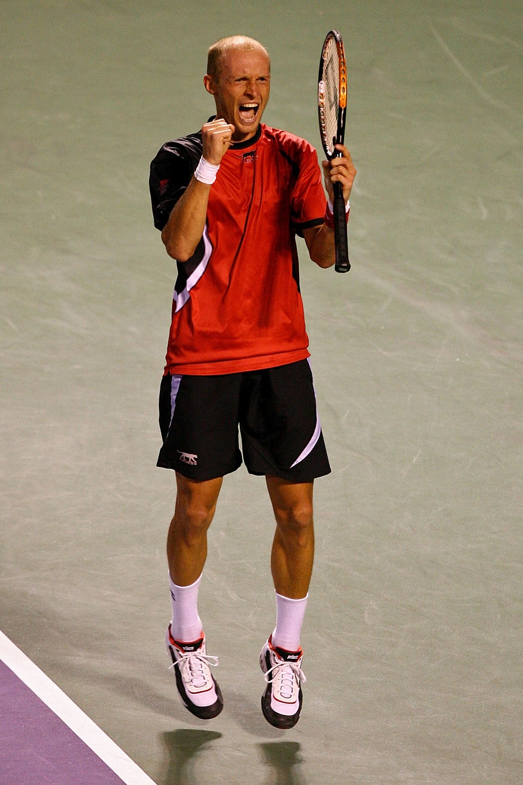 Sports Super Stars: Nikolay Davydenko Wallpapers photo 2012