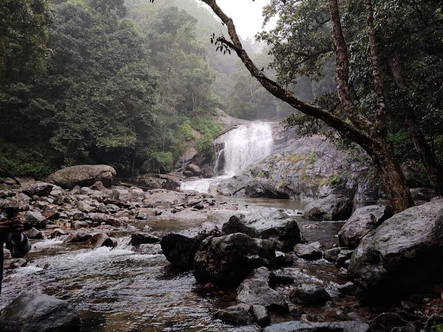 Incredible Elegance and Evergreen views of Lakkam Waterfalls
