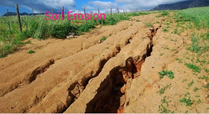 AJITH SIR ONLINE COACHING: RESOURCES AND DEVELOPMENT class 10 (PART-7)