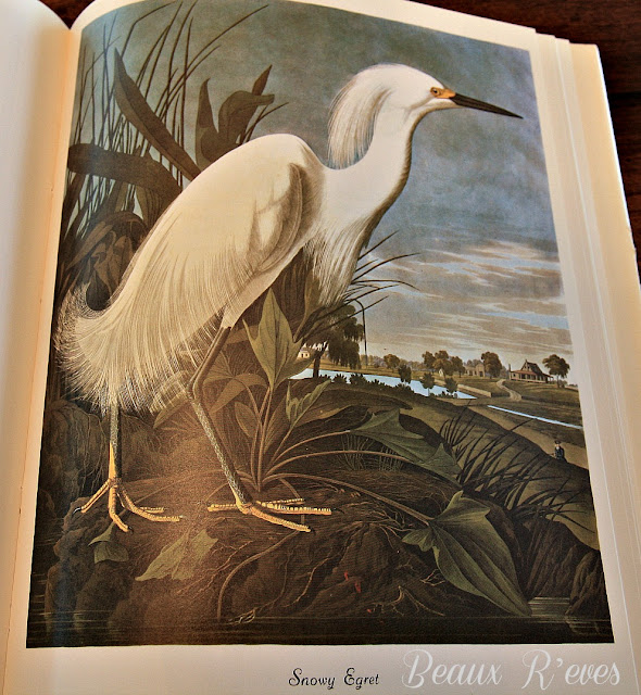 Beaux R'eves: Ballard Botanical Print Knockoff