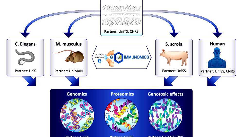 Immunomics