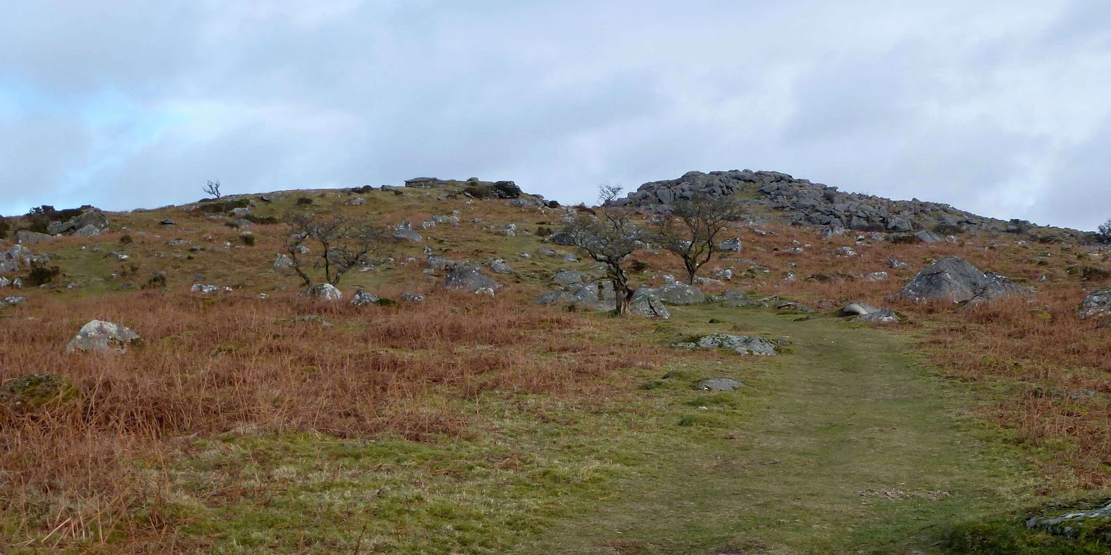 My Dartmoor Walks: Friday 17th February Down Tor