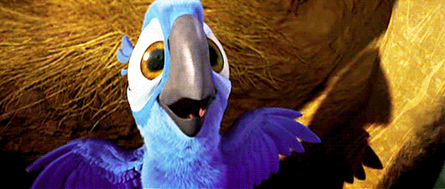 Rio - Filme 2 - Cia dos Gifs