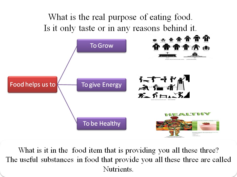 SONU ACADEMY: COMPONENTS OF FOOD-TEXT