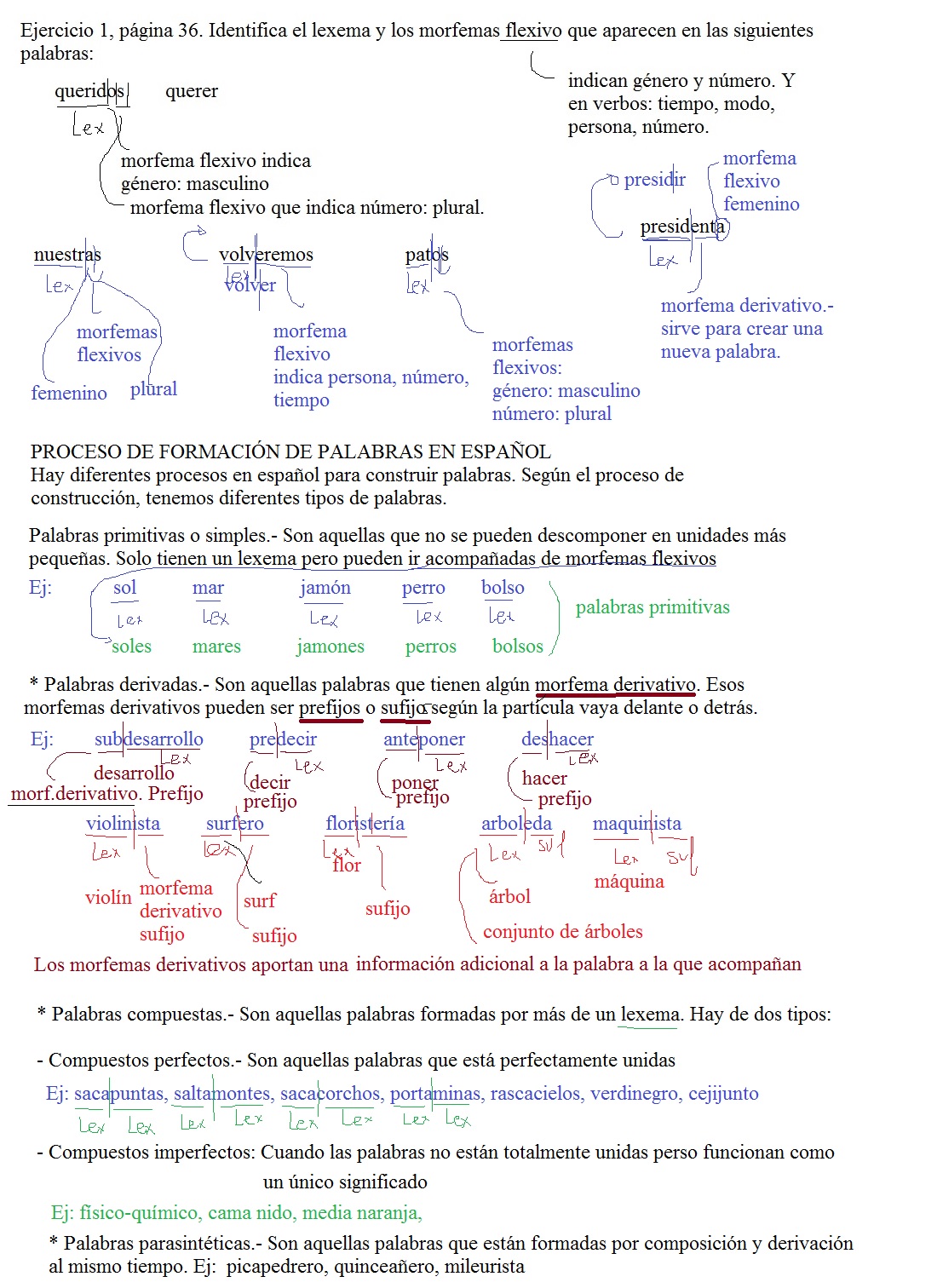 TRIVIUM 2º ESO: 2ºA. Procesos de formación de palabras