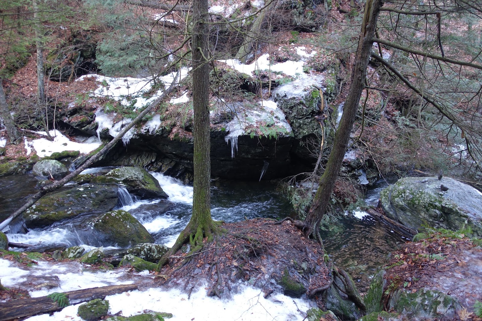 Of Rock & Riffle: A Monumental Mid-Winter's Day in a Deep, Dark Ravine