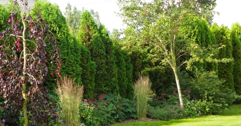 sodelis.lt: Vidinio kiemelio gėlynas daliniame pavėsyje