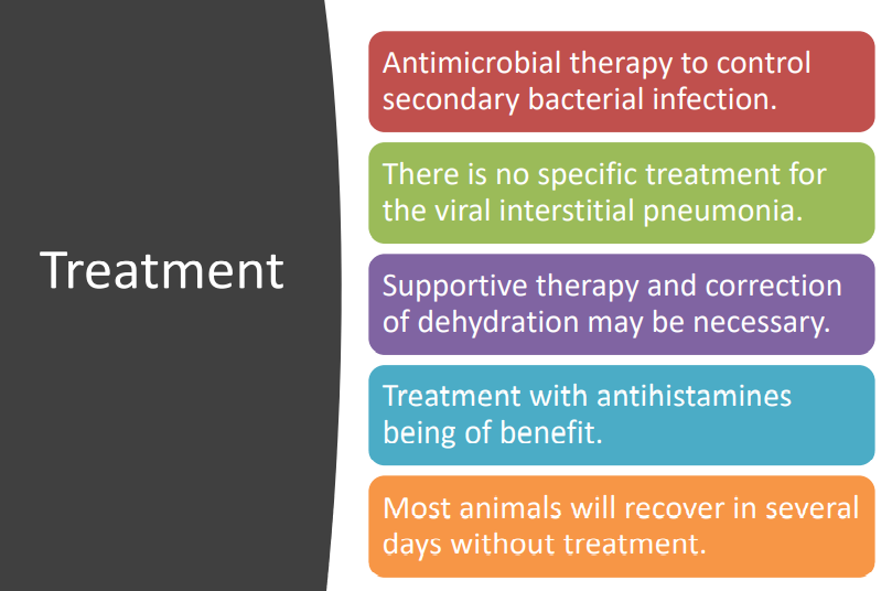 Bovine respiratory syncytial virus (BRSV)