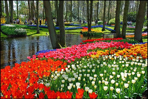 Nikmati Keindahan Taman Bunga - Relaks Minda