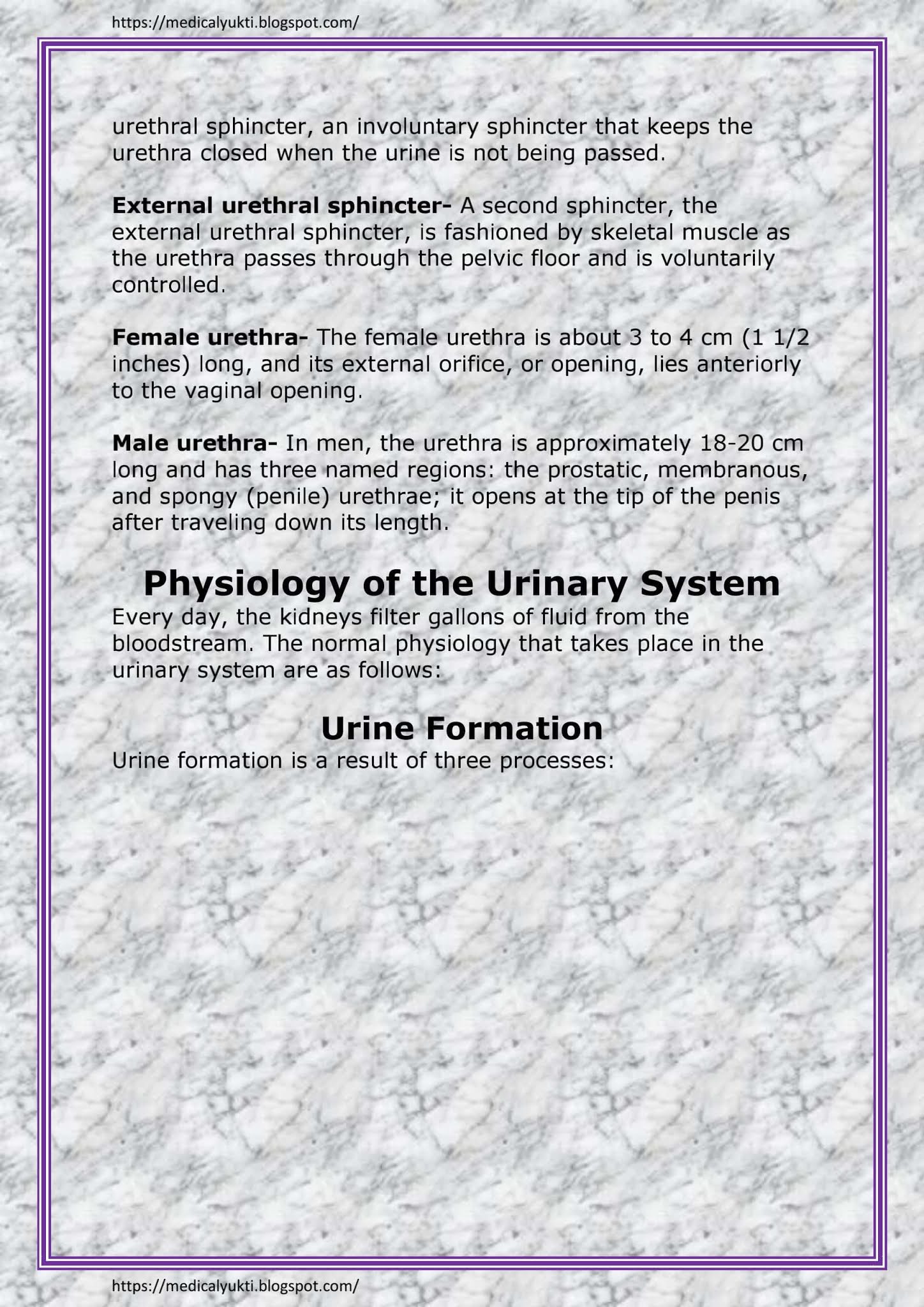 Urinary System Anatomy Physiology - Medical Yukti