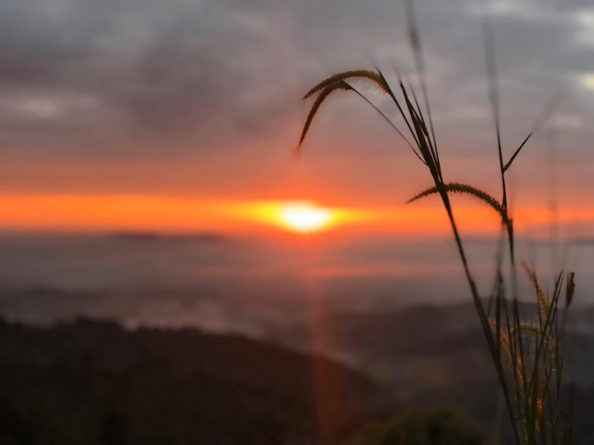 Hiking di Bukit Senaling | Kuala Pilah - Aliffness