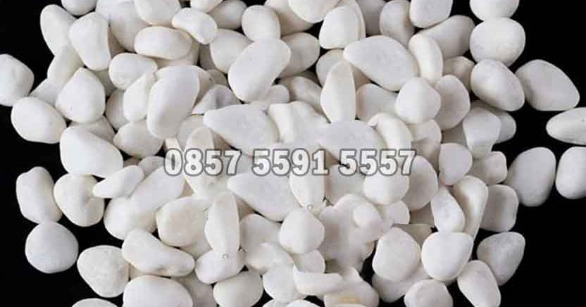 Jual Batu Koral Kecil Putih - JASA BATU SIKAT