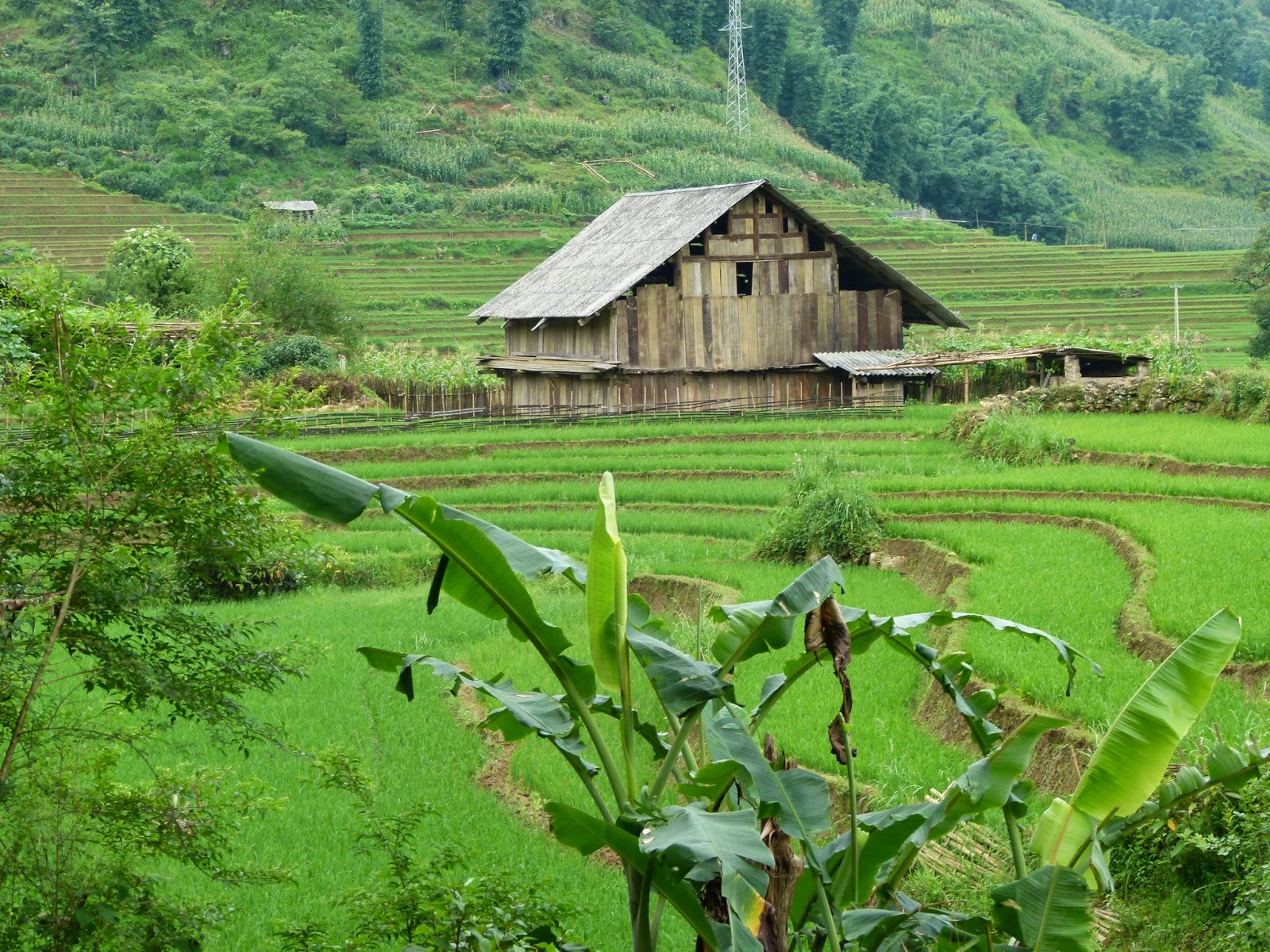 Travel - Posh Backpacking around South East Asia - Roses and Rolltops