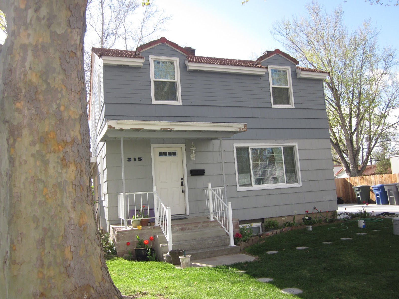 Serious Gray Sherwin Williams