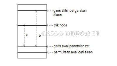 IT'S MY LIFE PHARMACY: KROMATOGRAFI LAPIS TIPIS (KLT)