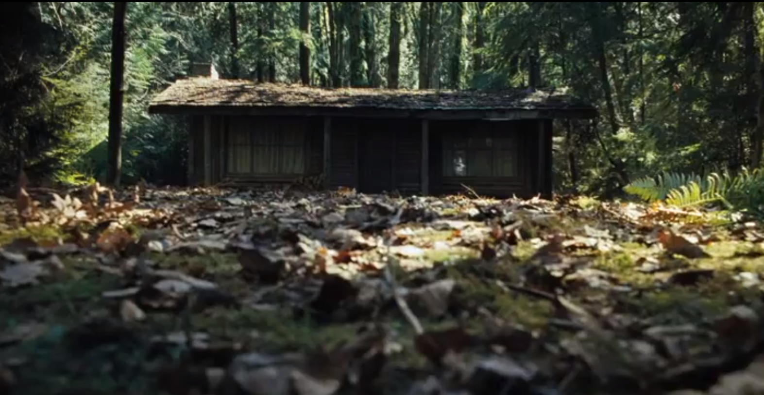 The Night of the Horror Movies : Cabin in the woods