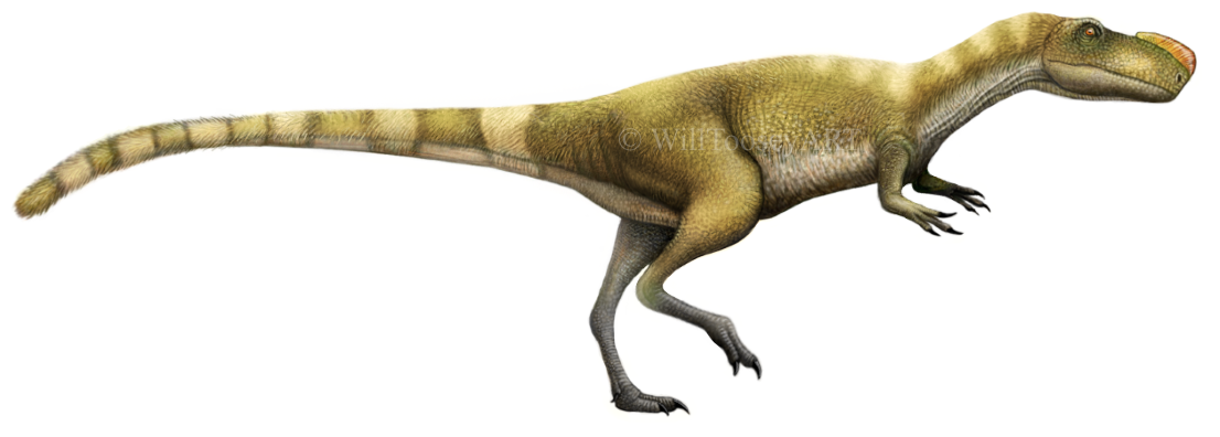 Palaeofauna: Early Origins of Tyrannosaurs