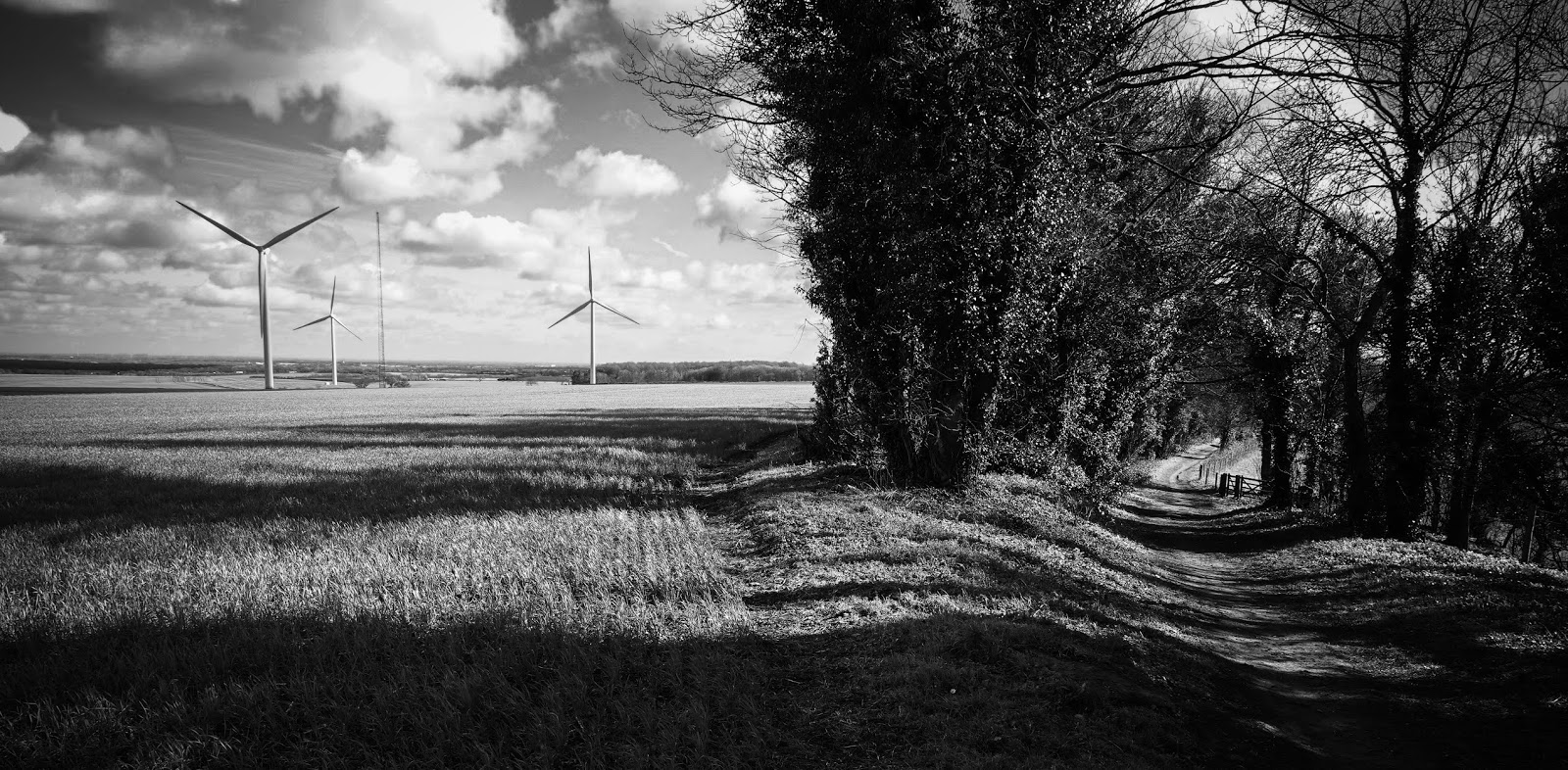 Palmour Photographics: Virtual Exhibition