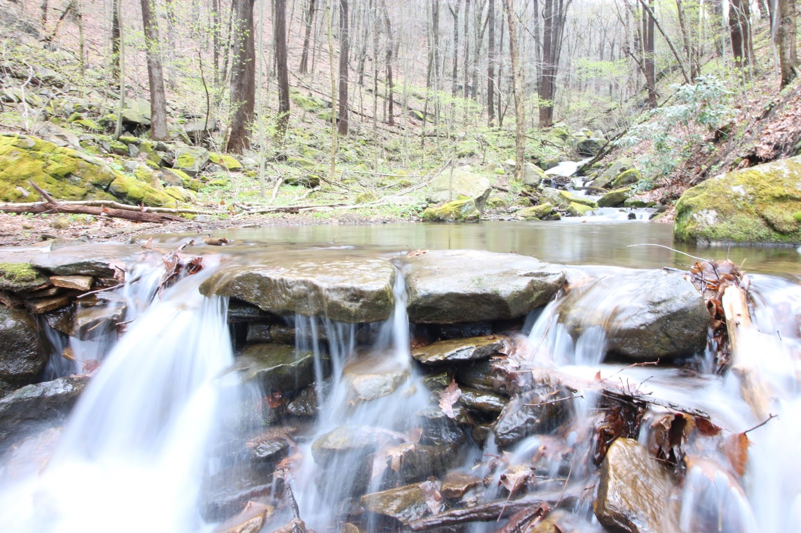 Gallitzin State Forest Recreation Guide: Awesome Hiking, Views, and ...