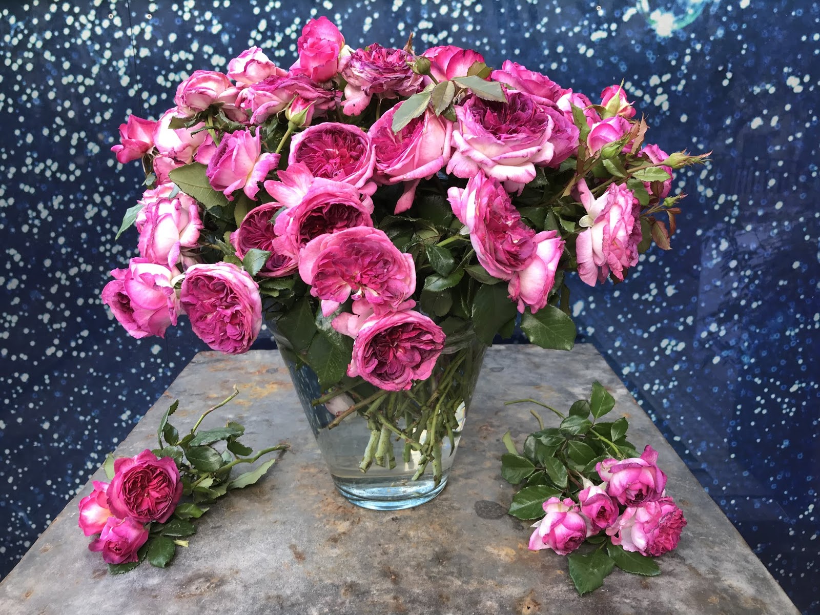 Créations 2019 : 2 nouvelles créations de roses gourmandes - Les ...