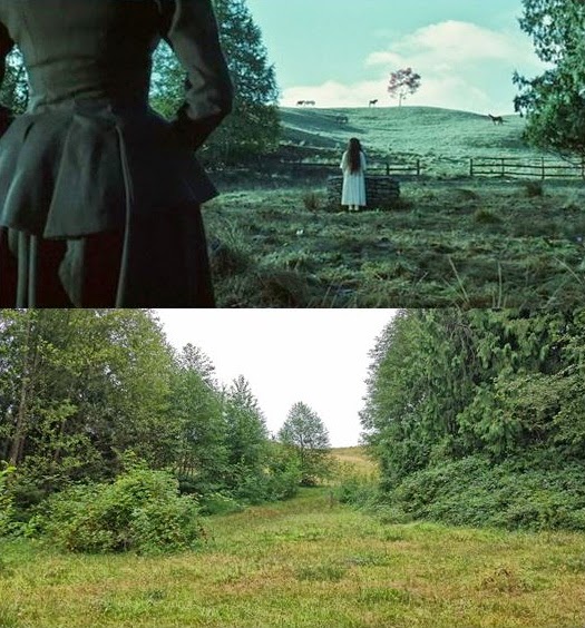 The Movie The Ring Tree